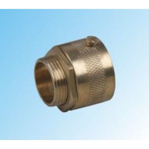 Brass Flexible Adaptor