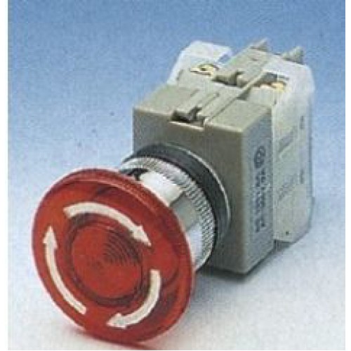 Latch Push Button c/w Neon Lamp